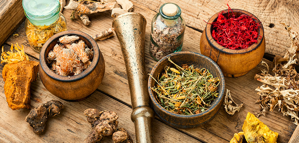 Food As Medicine: Return to Nature | Nature of Healing