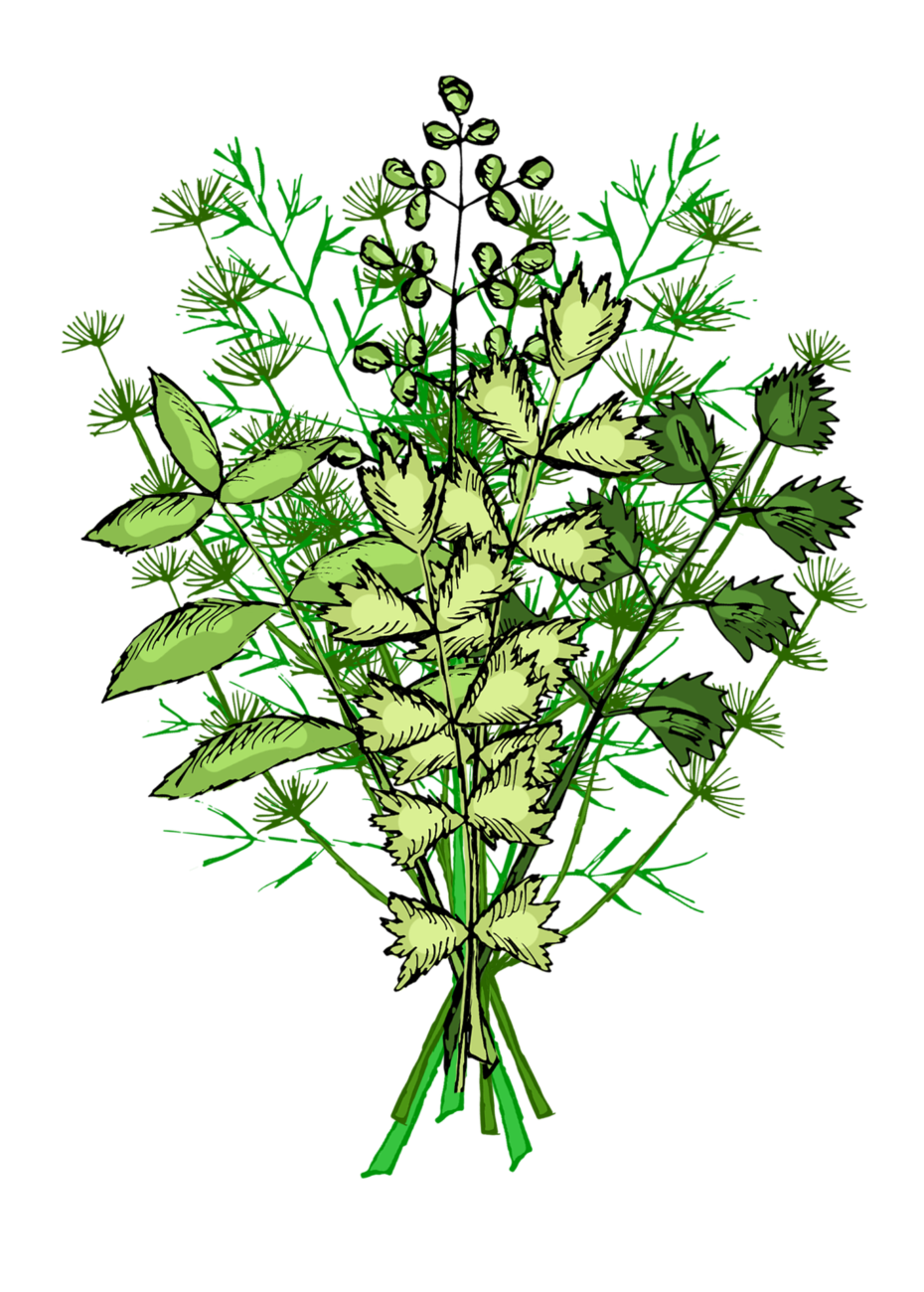 The Hidden Connection Between Toxic Mold, Parasites & EMFs